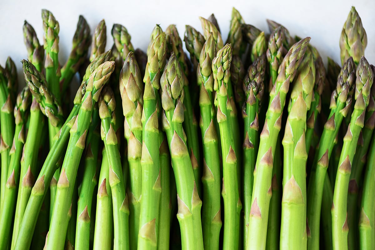 Cultiver les asperges en permaculture | Le Permaculteur