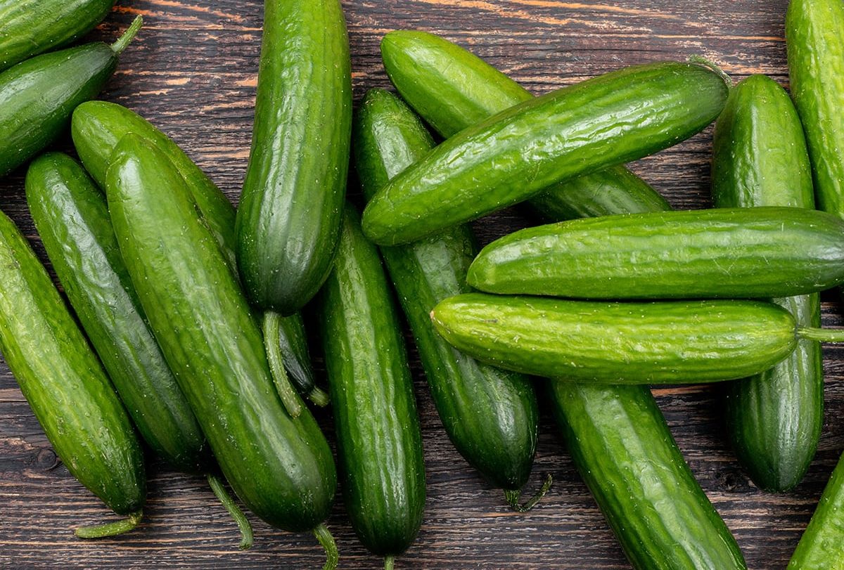 Cultiver les concombres en permaculture | Le Permaculteur