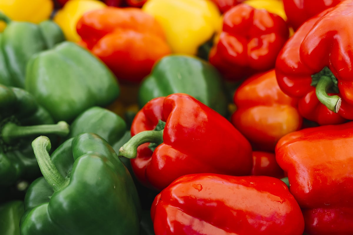 Cultiver les poivrons en permaculture | Le Permaculteur